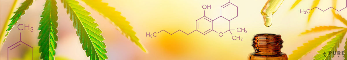 CBD Oil with THC: All You Need to Know – PureKana